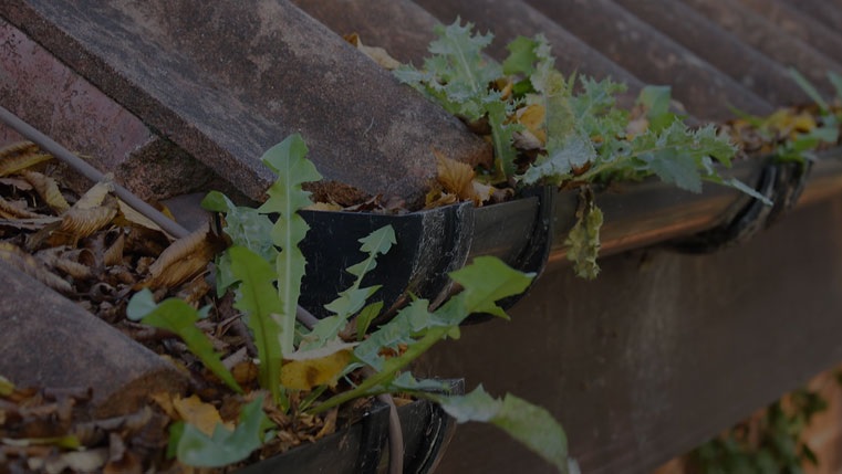 Gutter Guys - Reviews & Opening Times